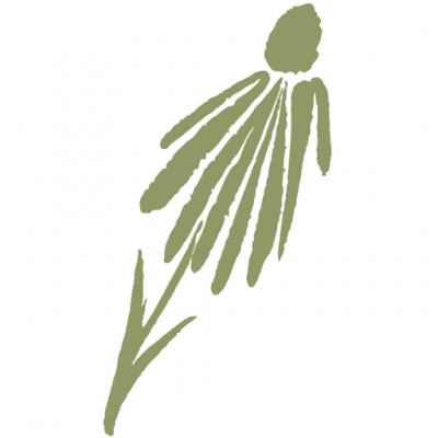 Wild Ones coneflower logo – Wild Ones St. Louis