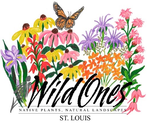 Register for Native Plant School sessions – Wild Ones St. Louis